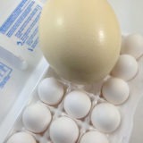 Deviled Ostrich Eggs - DudeFoods.com - Food Recipes & Videos
