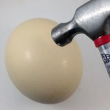 Deviled Ostrich Eggs - DudeFoods.com - Food Recipes & Videos