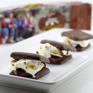 S’mores Girl Scout Cookies S’mores - DudeFoods.com - Food Recipes & Videos